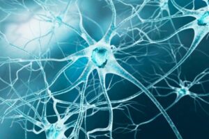 NEURO Forte Tablets: Neurological and Psychological Support | Vitaminati